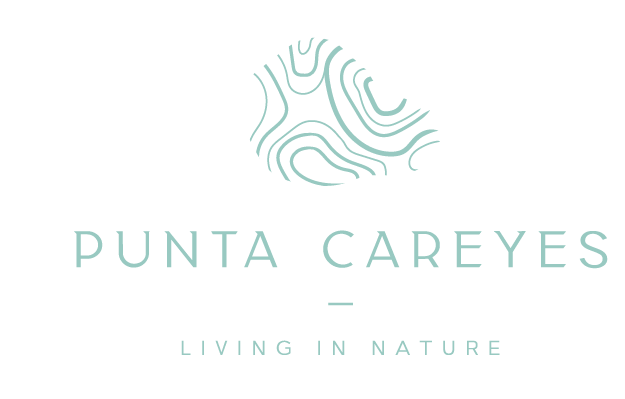 Punta Careyes - Costalegre Real Estate